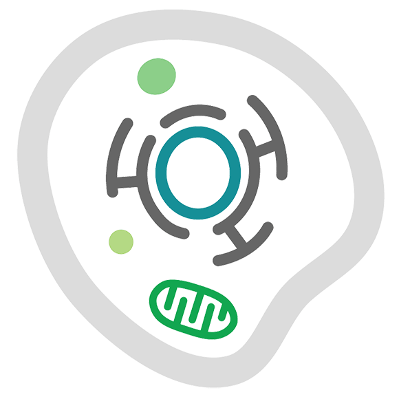 CellMap | Janelia Research Campus